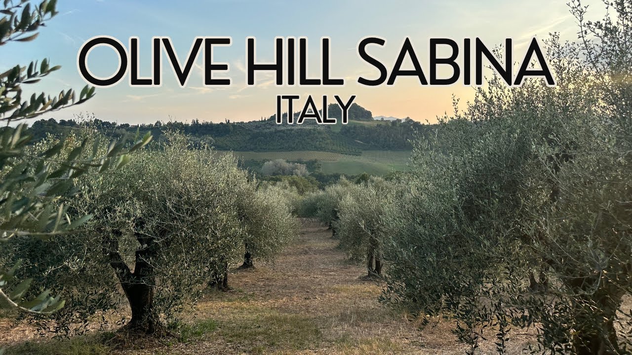 Experience the Enchanting Olive Oil Farm in the Sabina Hills, Italy ...