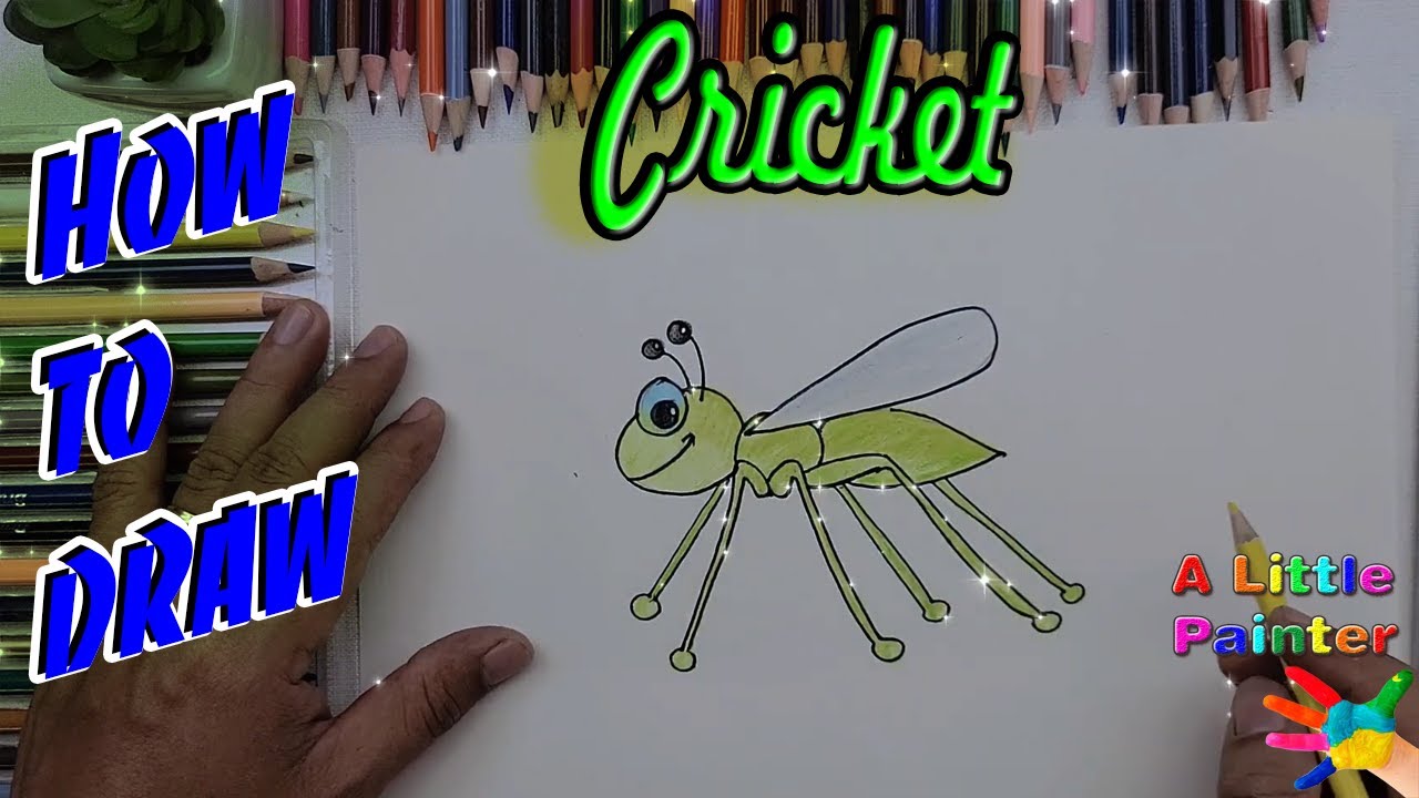 How to Draw Cricket, Insects - YouTube