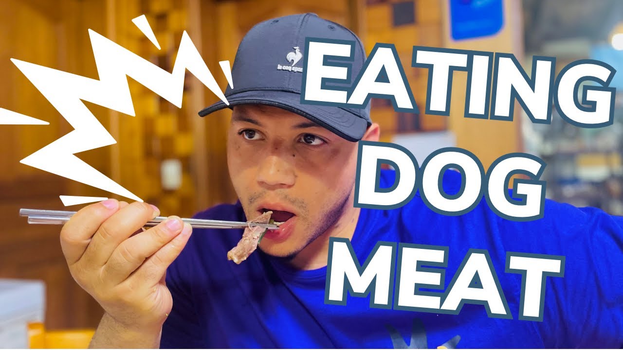 Eating Dog Meat in South Korea. - YouTube