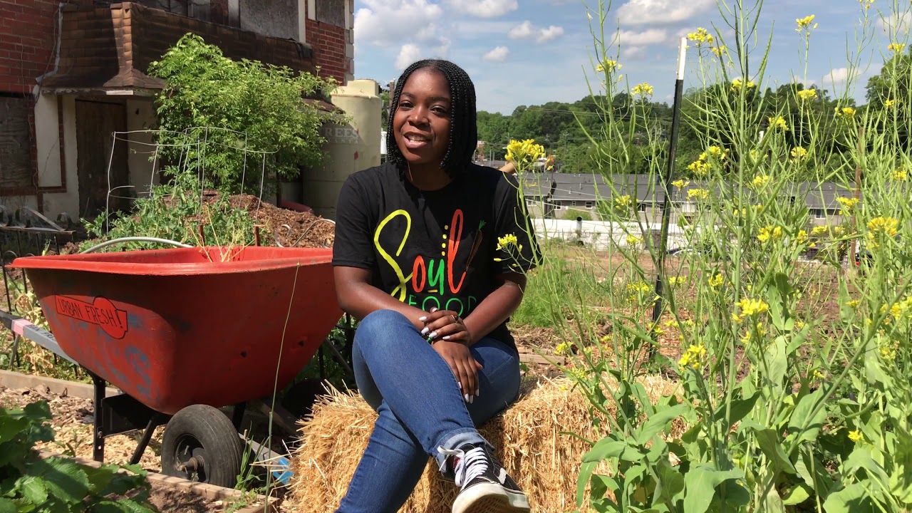 Soul Food Markets: The First Black Owned Supermarket Chain With All ...