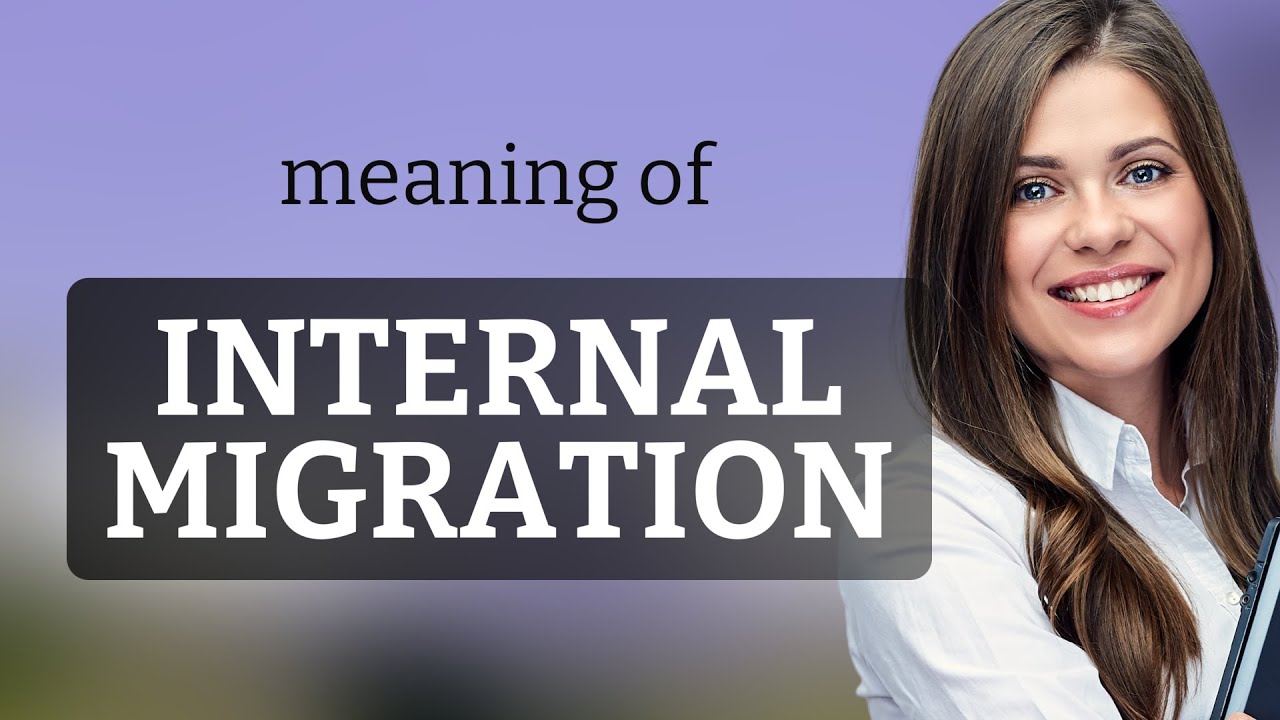 Understanding Internal Migration: A Journey Within Borders - YouTube