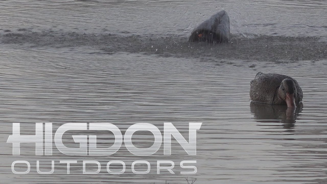 Duck Chatter Ep.124 "2024 Opening Day" - YouTube