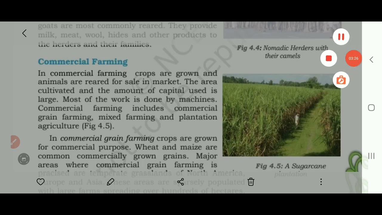 Class 8th ,Geography, Chapter-4 Agriculture (part-4) - YouTube