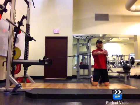 Tall Kneeling Cable Anti-Rotation Hold - YouTube