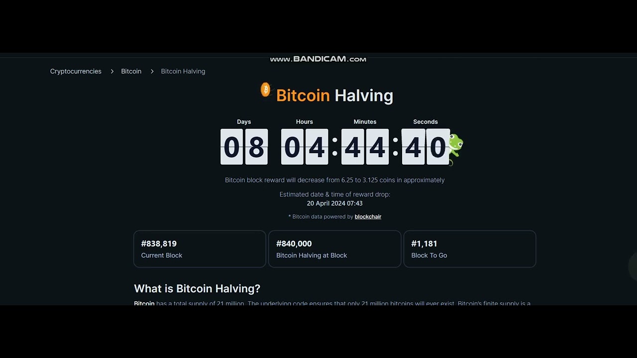 Bitcoin Halving 8 days - Bitcoin BTC TIME NEWS - YouTube