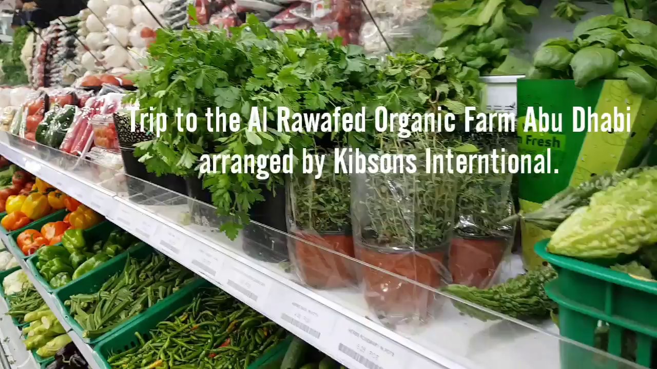 Organic Farming in UAE - YouTube