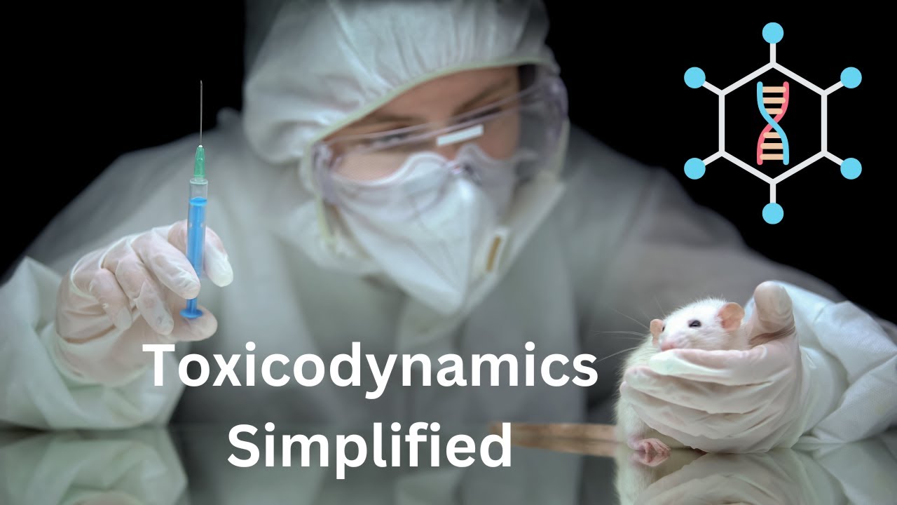 What is Toxicodynamics? (3 Minutes) - YouTube