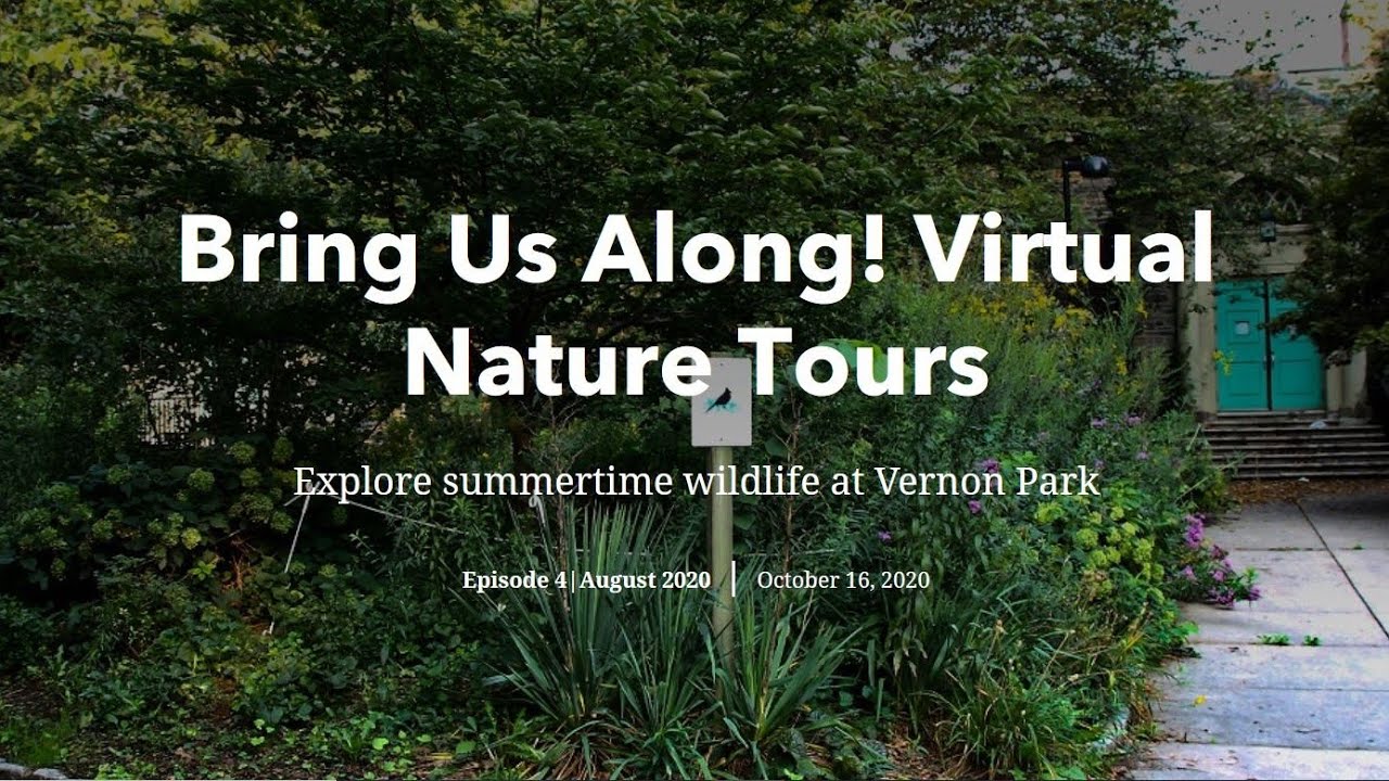 Bring Us Along! Virtual Nature Tours: Vernon Park - YouTube