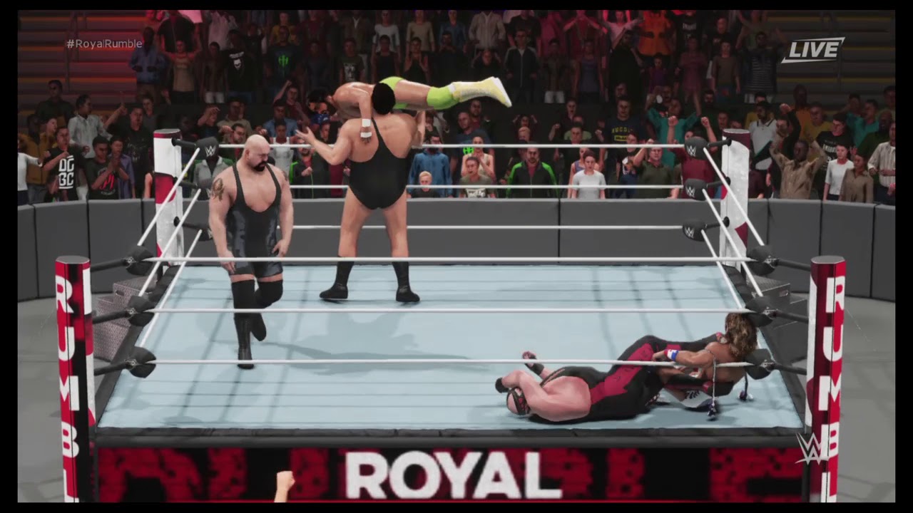 Undertaker wins Royal Rumble - YouTube