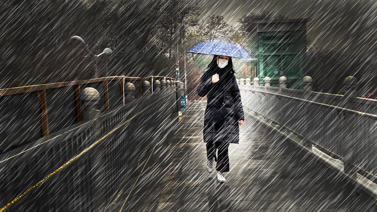 4K Super Heavy Rain Walk Up Namsan 남산 Mountain in the middle of Seoul ...