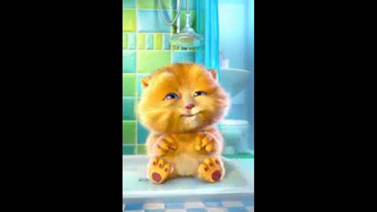 gato ginger troll - YouTube