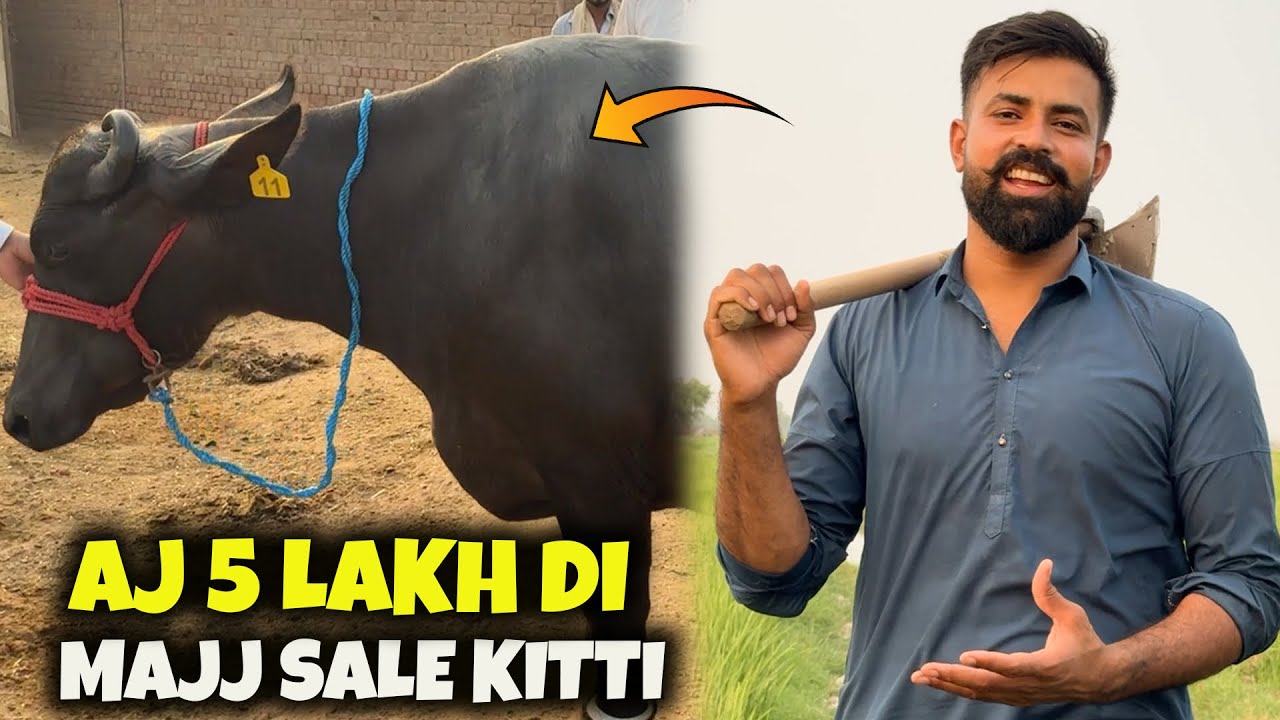 AJ 500000 LAKH DE MAJJ SALE KITTI - YouTube