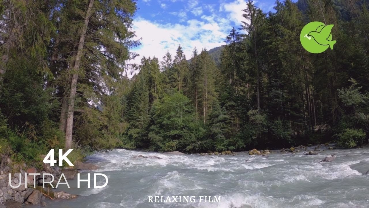 Big River/Waterfall middle of the Forest, Relaxing [3 hours] sounds of ...