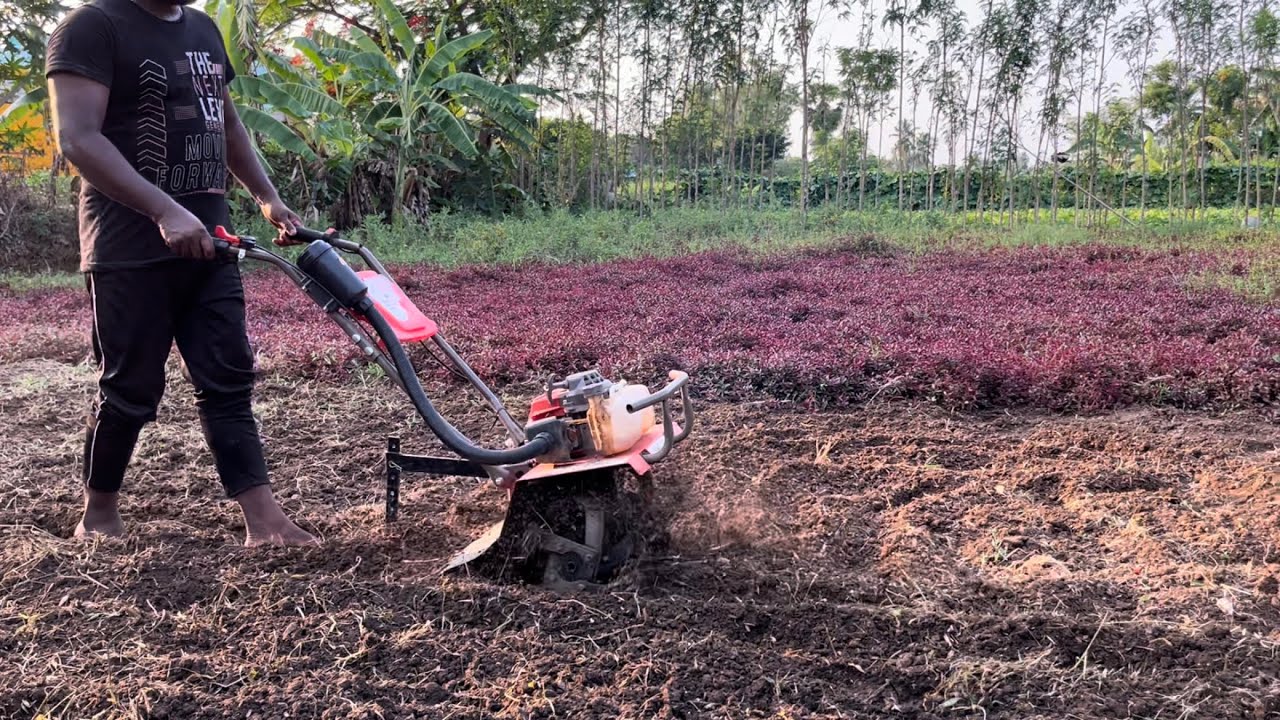 68cc Mini Power Weeder Rs.19000, 9787672239, 3HP Power Weeder, Melur ...