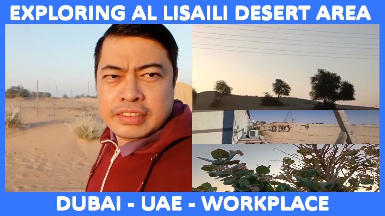 EXPLORING THE AL LISAILI DESERT AREA DUBAI | UAE LOVE AND PROTECT THE ...