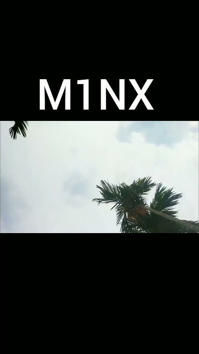Face Reveil🤪#m1nx #wrgyt #tgrnrz #tondem1nxgamer #shortsfeed #shorts #freefire - YouTube