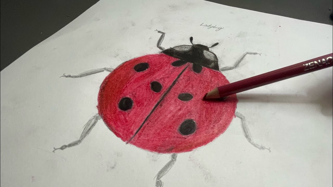 Mya Chatman- Drawing a ladybug☺️🐞Third video! - YouTube