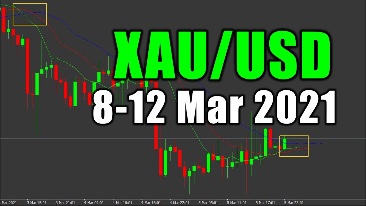XAU/USD Weekly Gold Signals tips | Forex Daily Beginner Trading ...