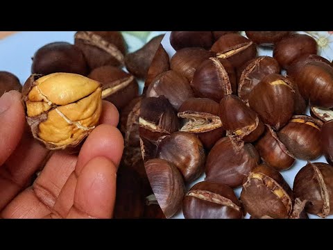 watch this video before you buy chestnuts 🌰/Amazing/How to Roast ...