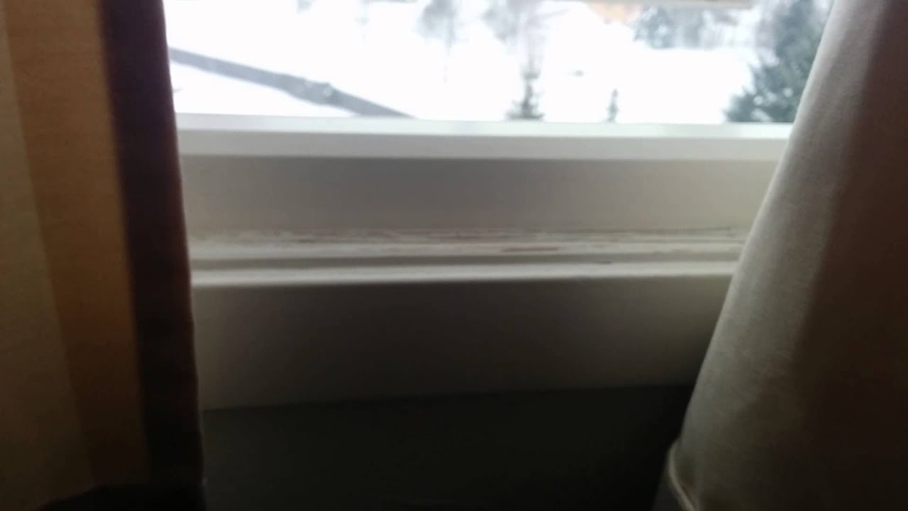 Throwing spaghetti out the window - YouTube