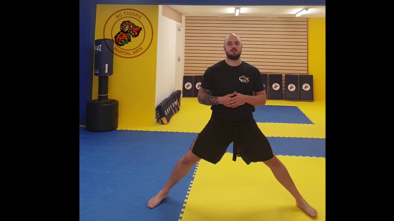 Online Training - Beginners Combination One Step Axe Kick, Sliding Snap ...