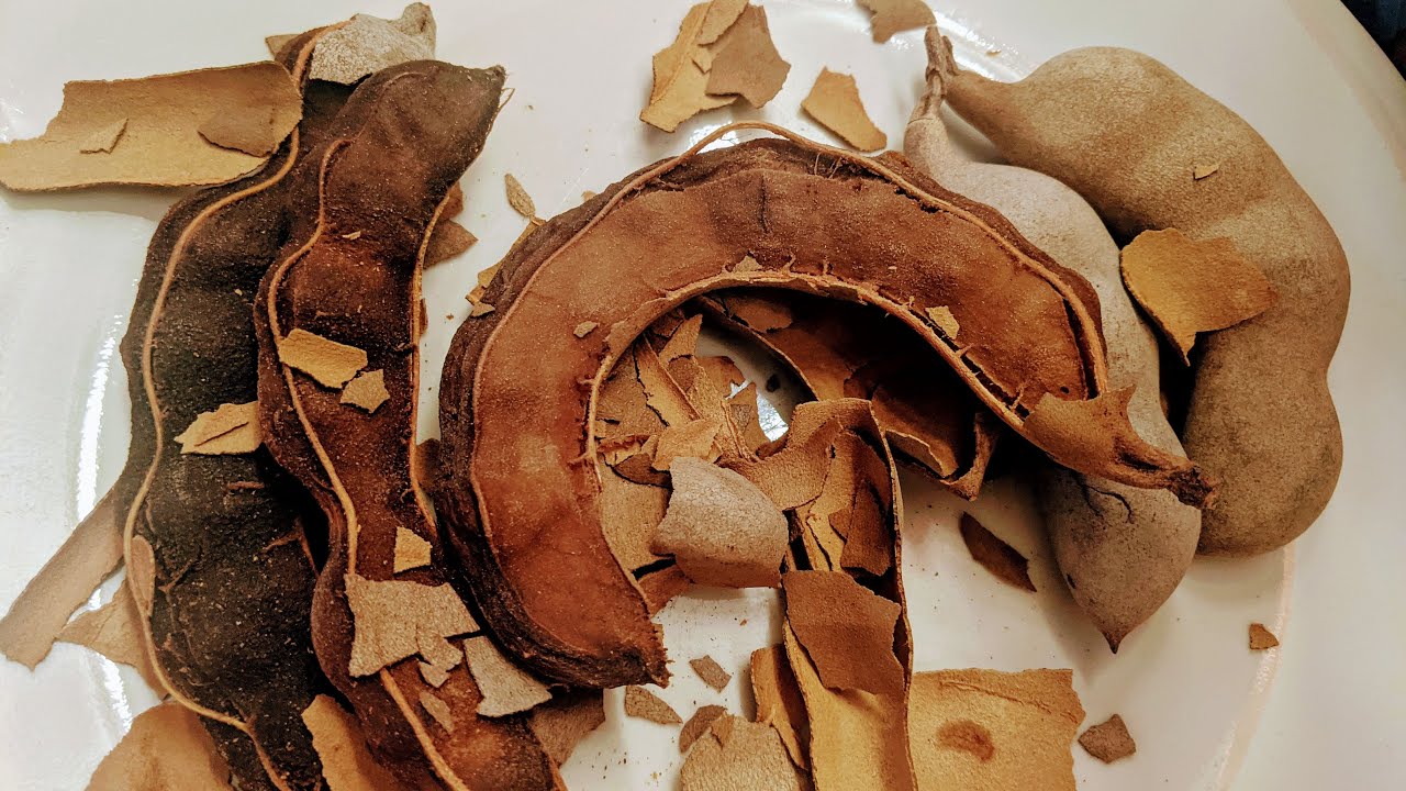 SATISFYING ASMR SOUND/ Cleaning TAMARIND SHELL TO REVEAL THE PULP # ...