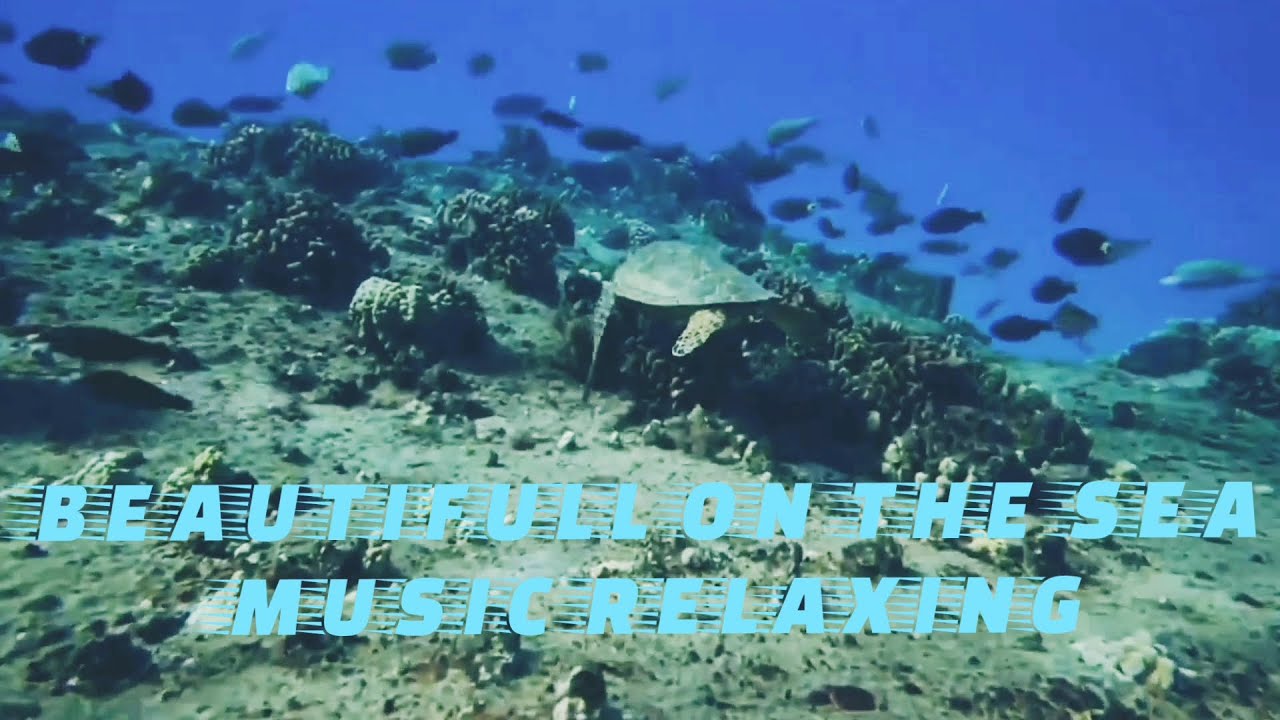 BEAUTIFULL ON THE SEA MUSIC RELAXING - YouTube