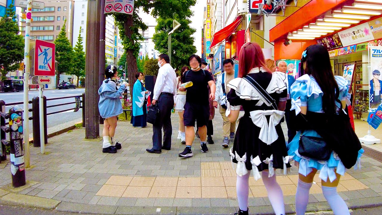 Akihabara in Tokyo 🐶🍻Moe Moe Town♪💖4K ASMR non-stop 1 hour 01 minutes ...