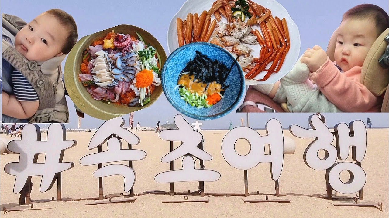 육아브이로그 8개월 아기와 1박2일 초간단 속초여행 L 아기와 가기 좋은 맛집feat아기의자 L 물회성게비빔밥홍게