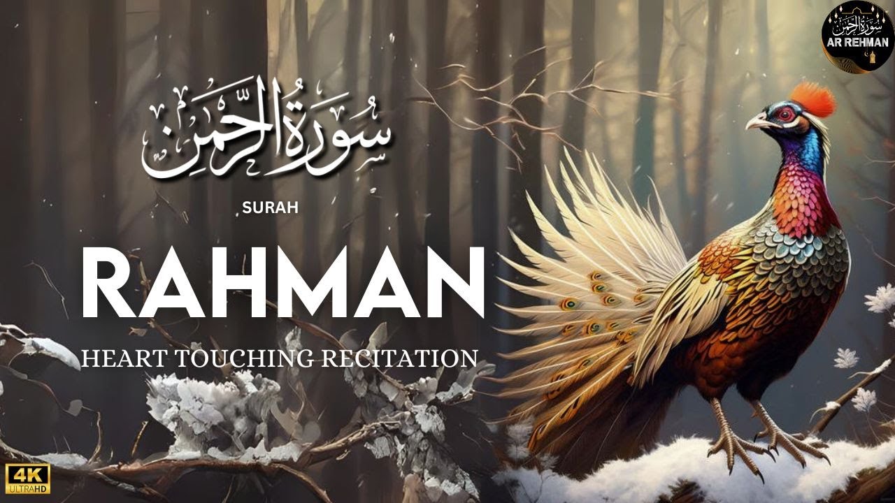Surah Rahman | (سورة الرحمن) EP-005| World's most beautiful recitation ...