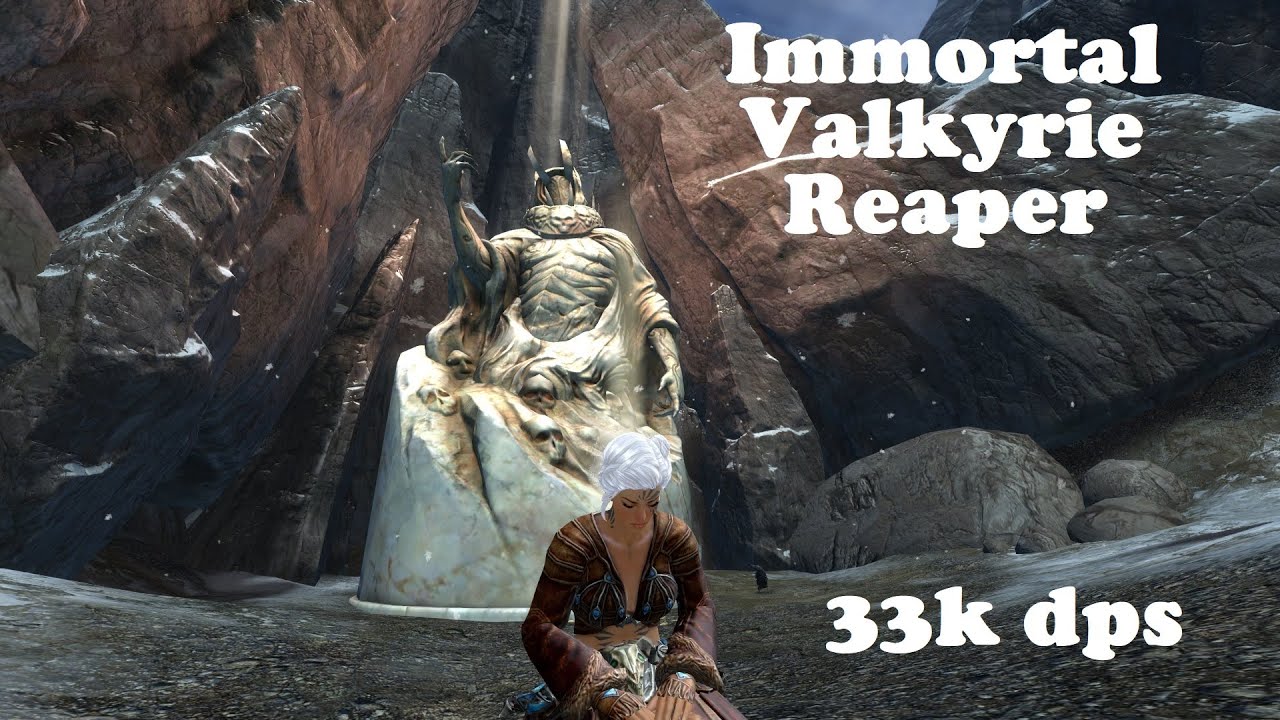 Immortal Valkyrie Reaper Benchmark (May 2023, 33k No Infusions) - YouTube