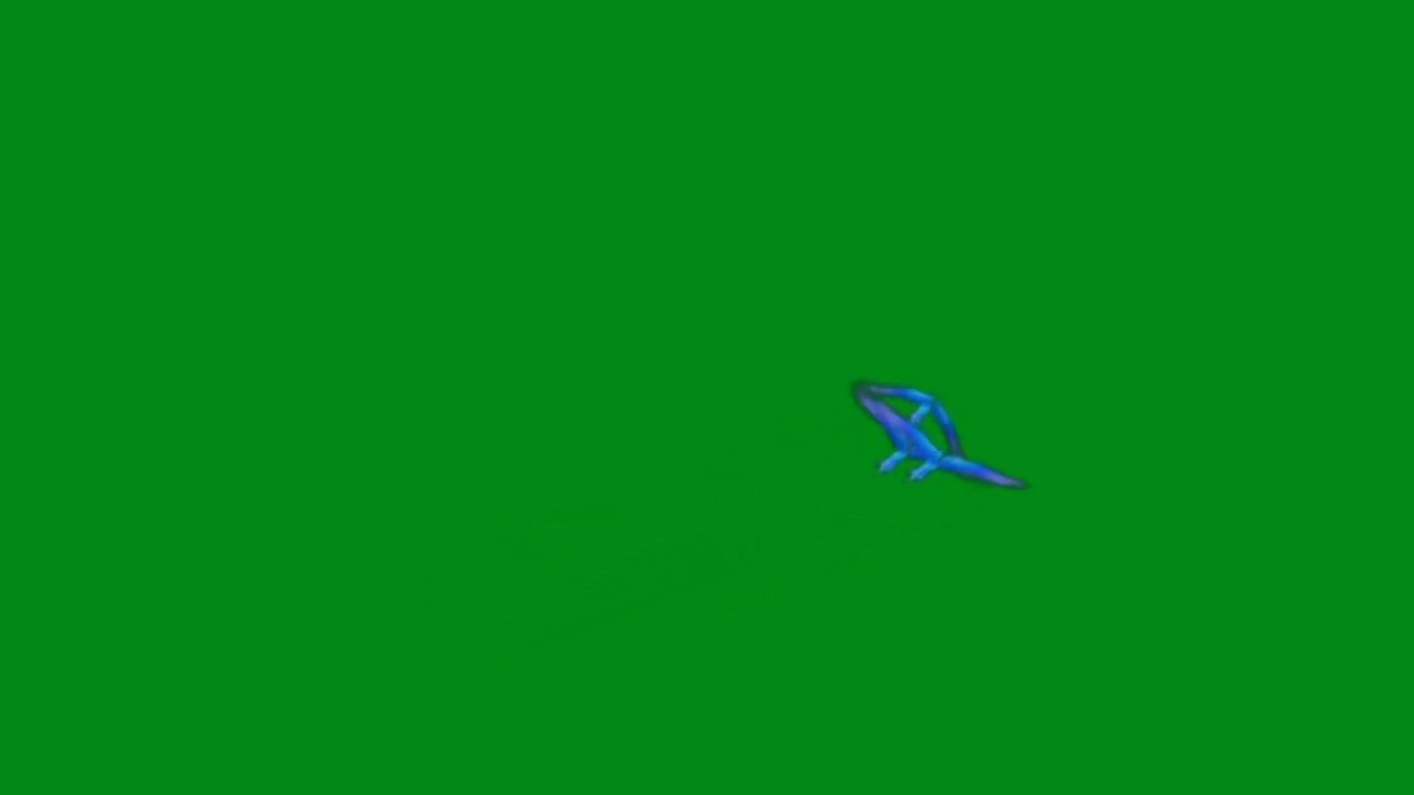 Blue birds flying green screen effects #goharinfo #greenscreen # ...