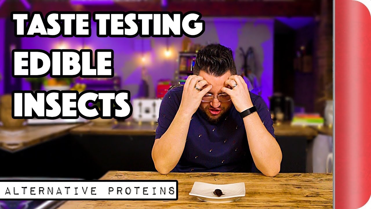Taste Testing Edible Bugs & Insects | Alternative Proteins | Sorted ...