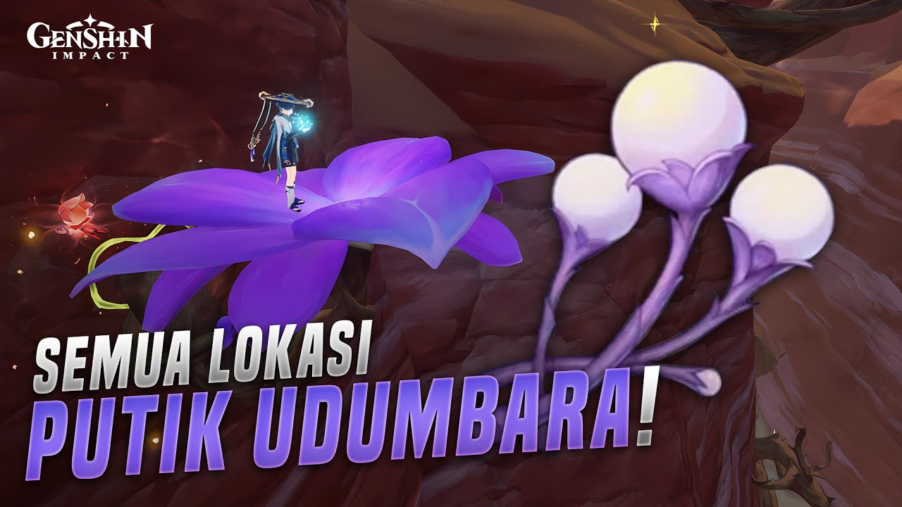 Semua Lokasi Putik Udumbara | Quest Dunia Api yang Remang |【Genshin ...