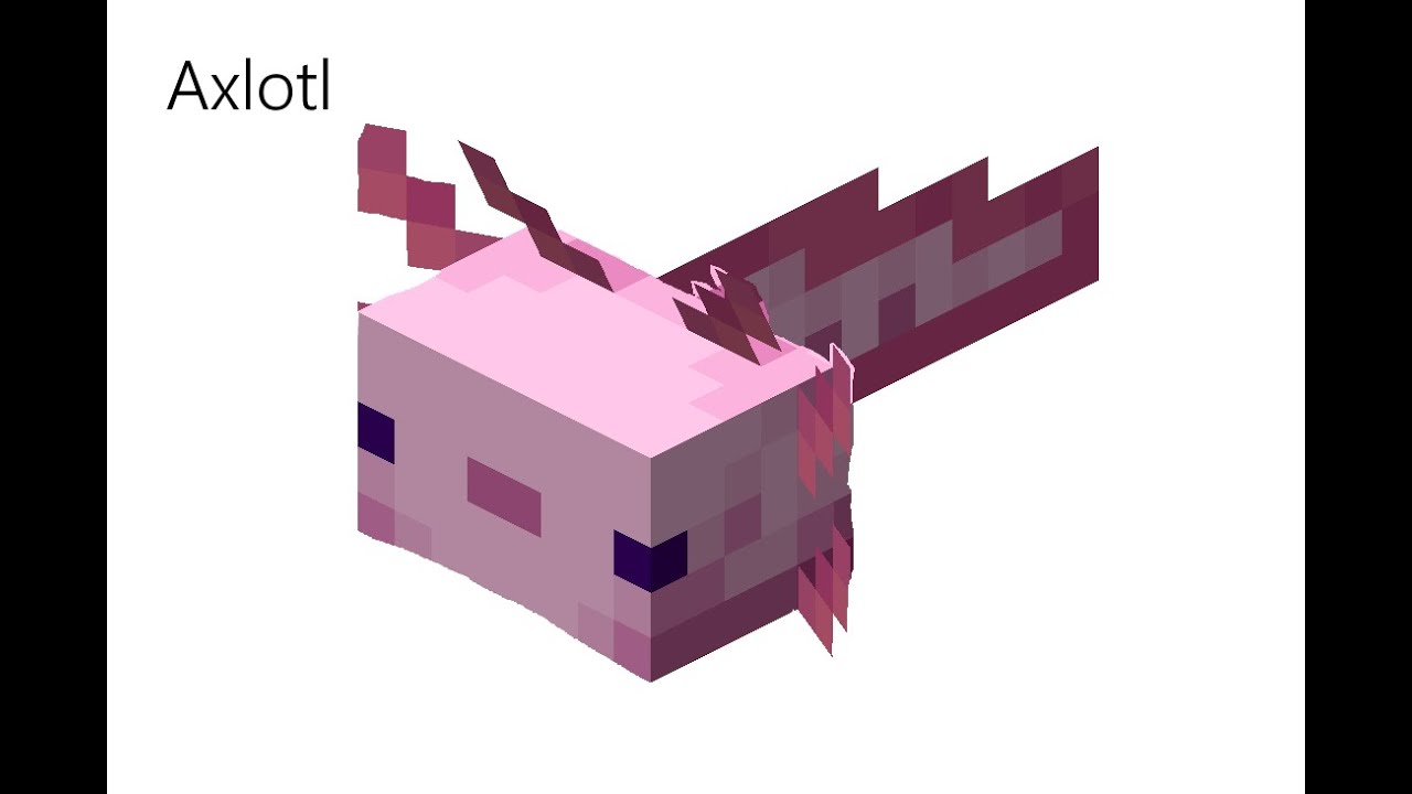 The different types of axolotls in Minecraft - YouTube