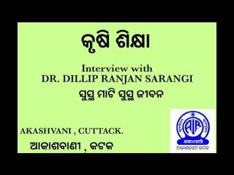 KRUSHI SHIKHYA , Interview with DR. DILLIP RANJAN SARANGI. - YouTube