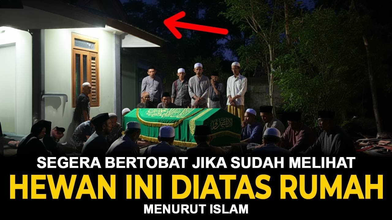 MERINDING PERINGATAN DARI ALLAH JIKA SUDAH ADA 10 HEWAN INI DI ATAS ...
