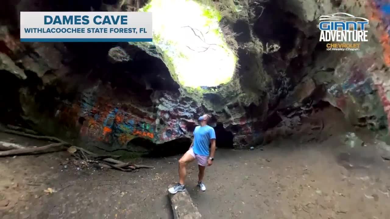 Giant Adventure: Dames Cave in Withlacoochee State Forest - YouTube