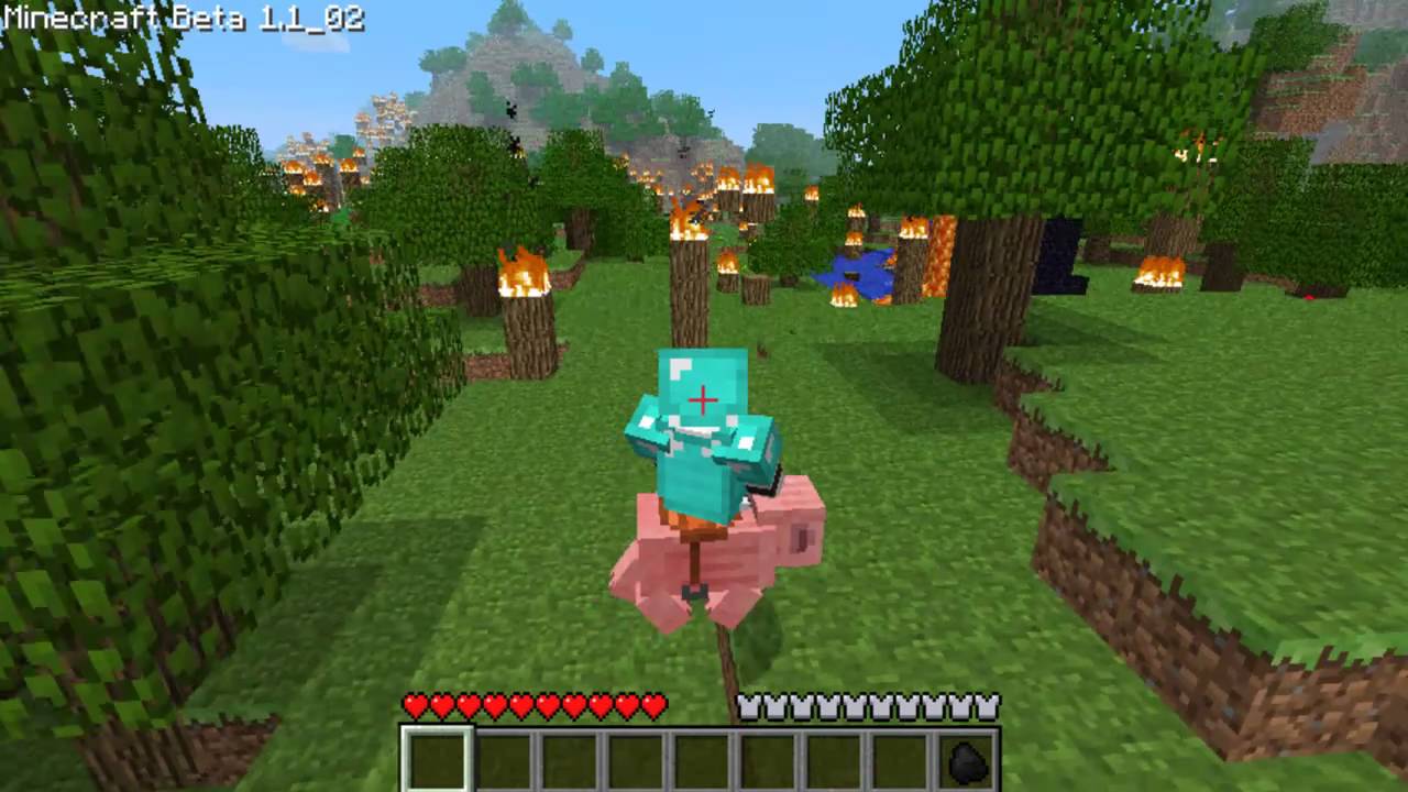 Minecraft : Pig riding - YouTube