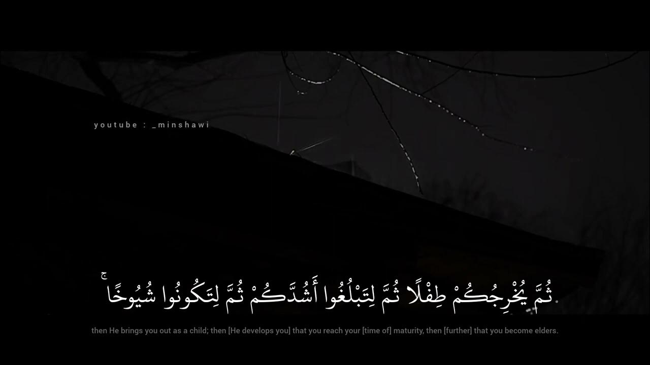 حالات واتس محمد صديق المنشاوي هو الذي خلقكم من تراب ثم من نطفة ثم