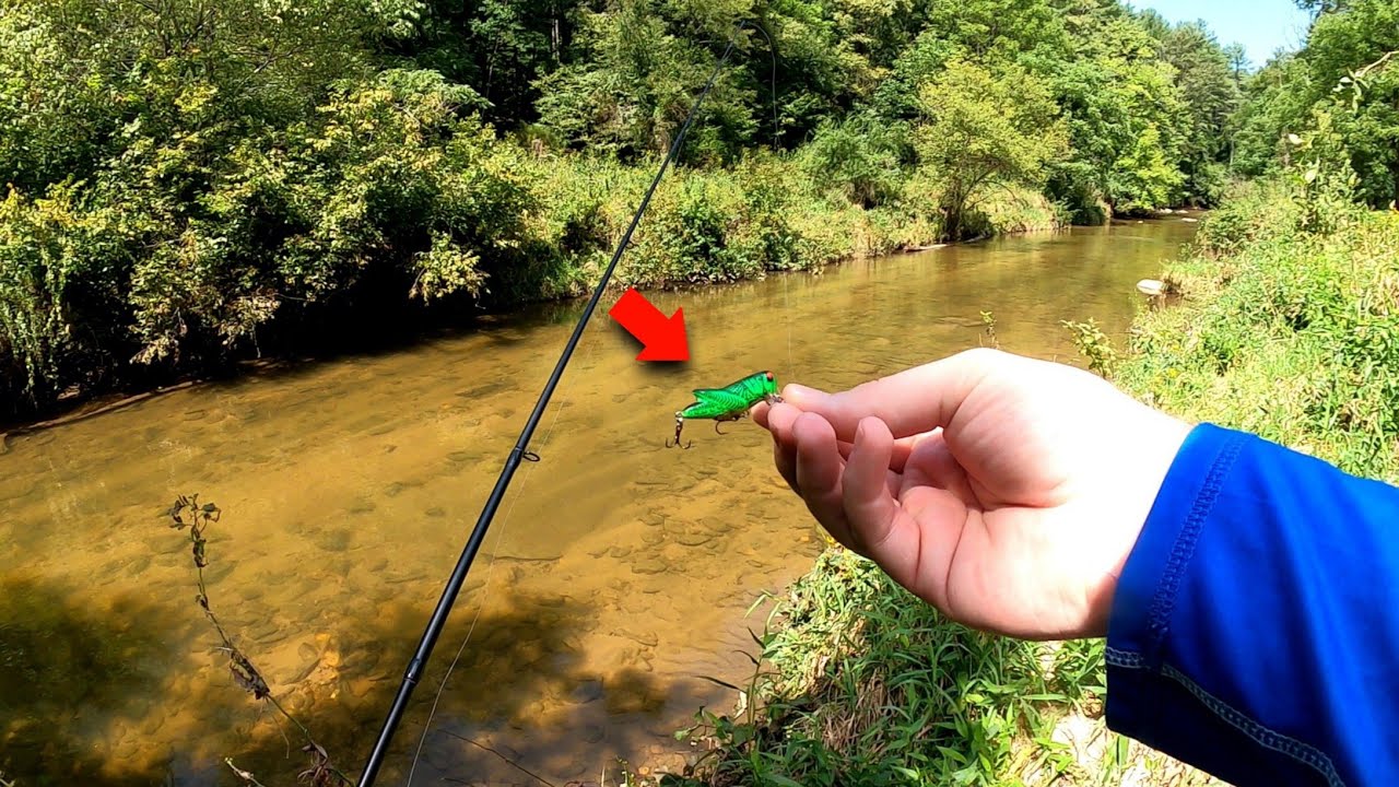 Trout Fishing with a LEGENDARY LURE || Brooks, Browns & Rainbows! - YouTube