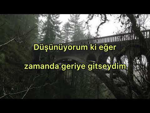 Archaeopteryx - Lemon Demon || Türkçe Çeviri