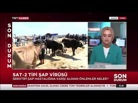 TÜRKİYE’DE YENİ TİP ŞAP HASTALIĞI GÖRÜLDÜ
