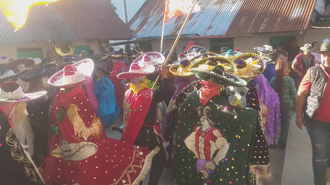 Carnaval camarones 2020 #camarones #calera - YouTube