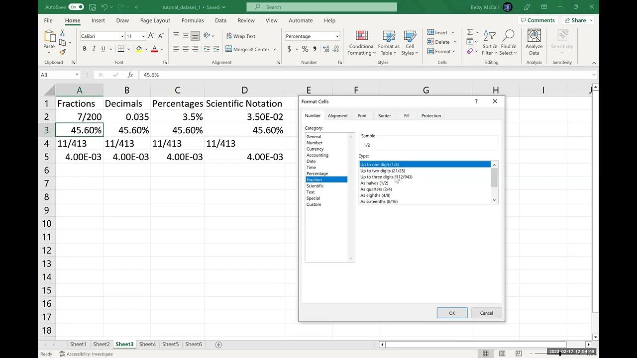 Formatting Numbers in Excel for Proportions - YouTube