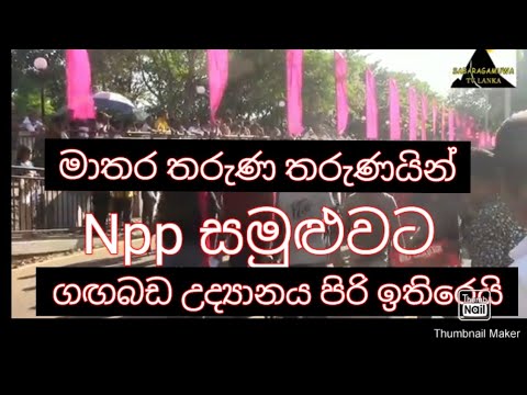npp matara youth/මාතර තරුණ සමුළුව /matara youth/ sabaragamuwa tv lanka ...