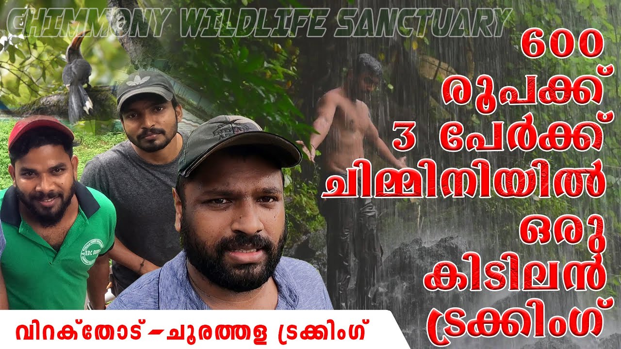 Chimmony Wildlife Sanctuary | Virakuthodu - Choorathala Trekking | # ...