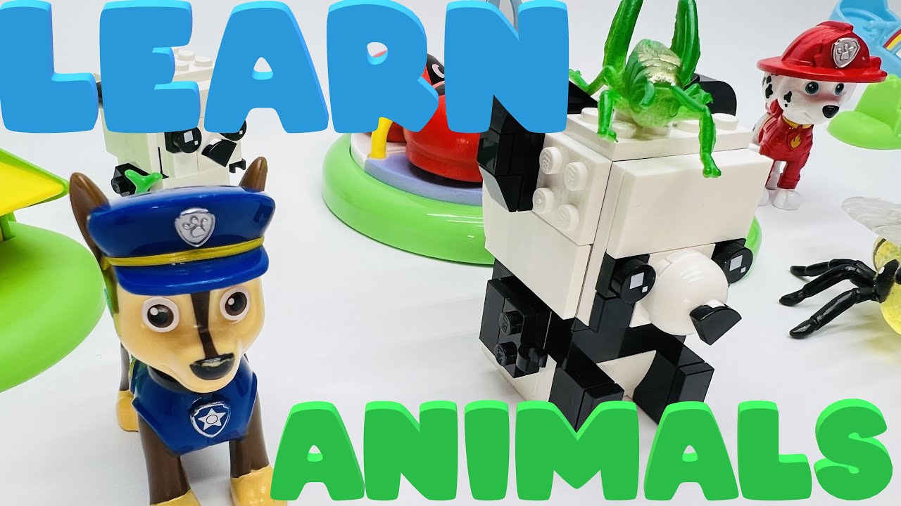 Learn Animals with Paw Patrol Pups - Insects edition🤪😂 Learning videos ...