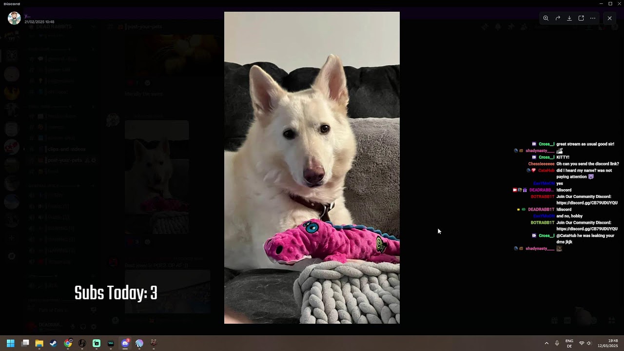 🥞 High Rarity Gemling Stat Stacker Mapping 🥞 !build - YouTube