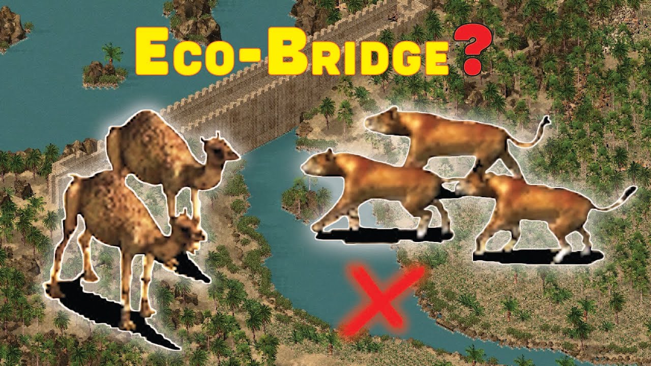 🌿🌉 ECO-BRIDGE? | Stronghold Crusader - YouTube